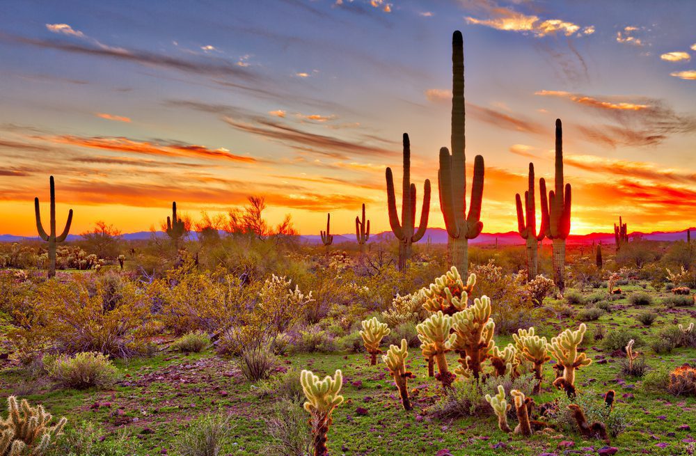 Five North American Deserts You Have to See - Climashield®